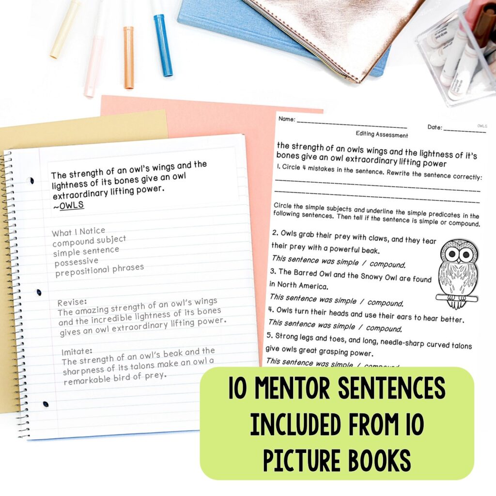 NONFICTION Mentor Sentences: Daily Grammar Vol 2, Fourth 10 Weeks ...