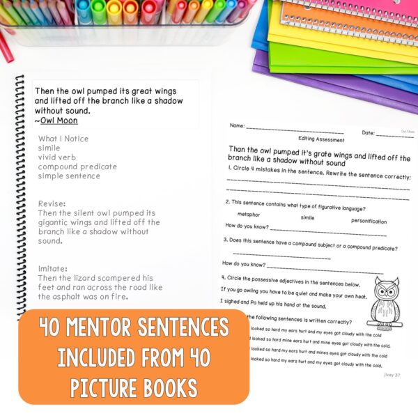 Daily Grammar Mentor Sentence Units (VOLUME 1) Bundle (Grades 3-5): 40 ...