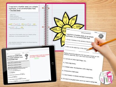 Mentor Sentences Routine: Break It Down (Assessment) - Ideas by Jivey