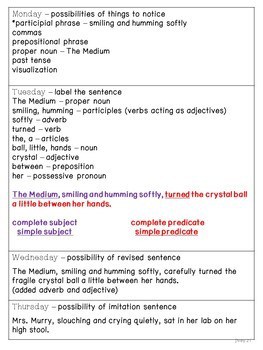 A Wrinkle In Time Mentor Sentences & Interactive Activities Mini-Unit ...