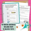 Daily Grammar Mentor Sentence Units (VOLUME 1) Bundle (Grades 3-5): 40 ...