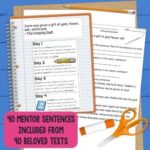 Daily Grammar Mentor Sentence Units (VOLUME 3) Bundle (Grades 3-5): 40 ...