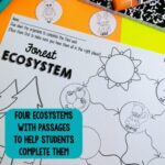 Build Food Webs & Food Chains Interactive Activities Ecosystems ...