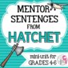 Hatchet Mentor Sentences & Interactive Activities Mini-Unit (grades 4-6 ...