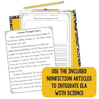 The Leaf Thief Mentor Text Unit for Grades 1-2 - Ideas by Jivey